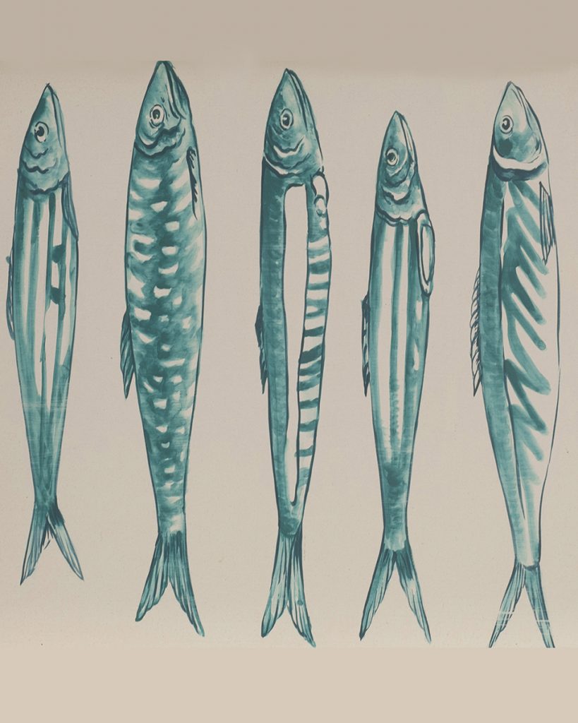 Catch of the Day – Steven Shell