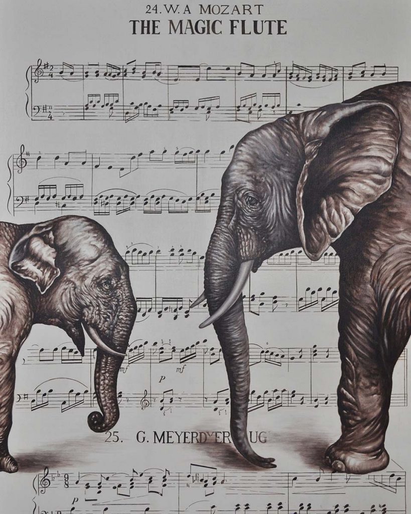 Elephant Song – Steven Shell